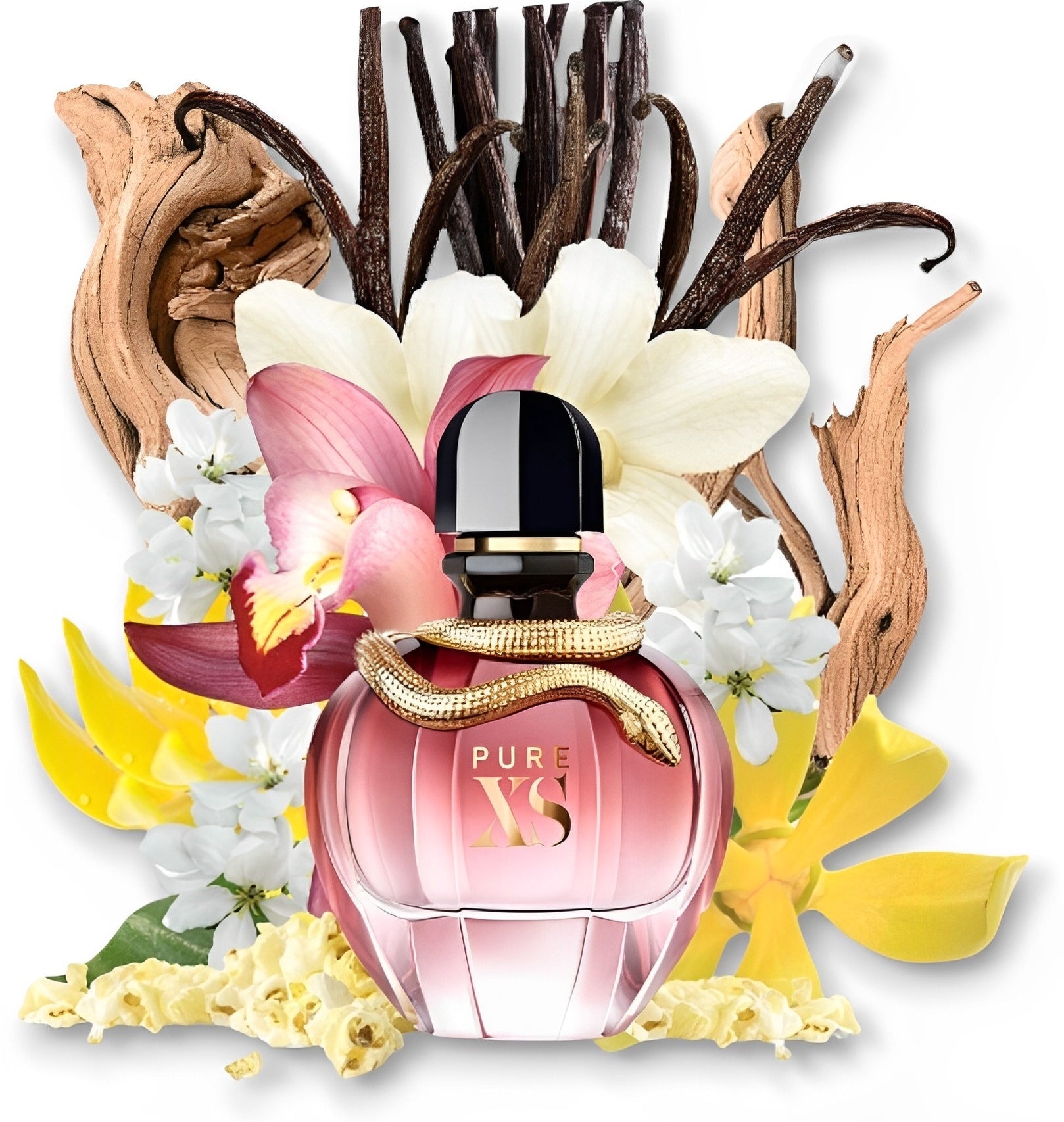 Paco Rabanne - Pure Xs edp 80ml tester / LADY – ♥️ Parfemi CoCo ...