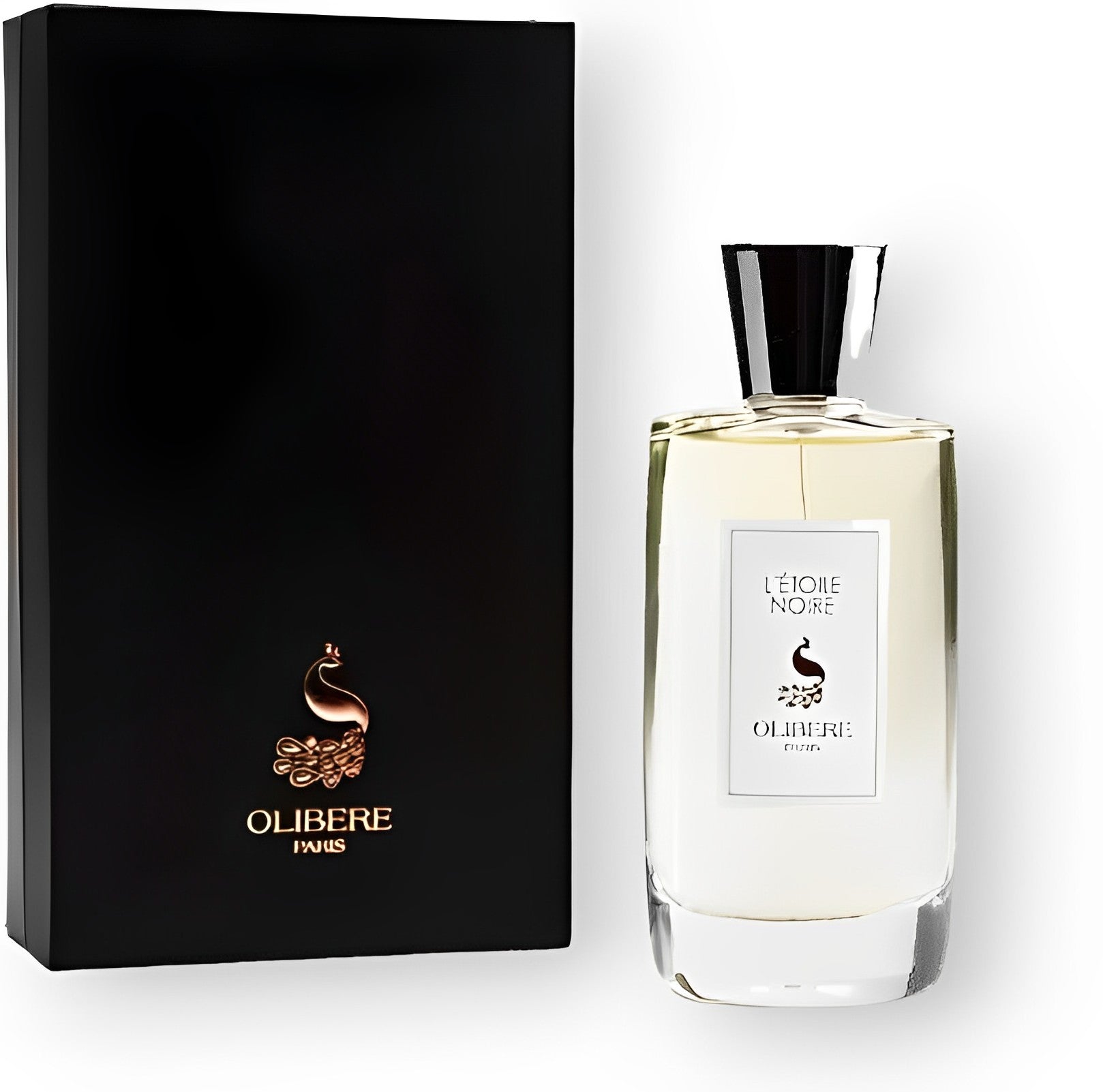 Olibere - L Etoile Noire edp 100ml tester / UNI – ♥️ Parfemi CoCo ...